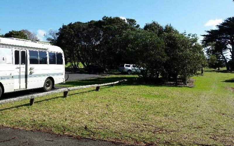 Long Bay Regional Park | Freedom/Basic Camp | New Zealand